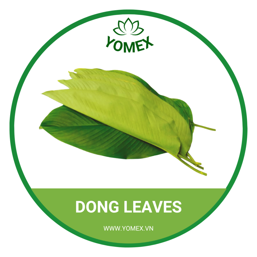 DONG LEAVES - YOMEX