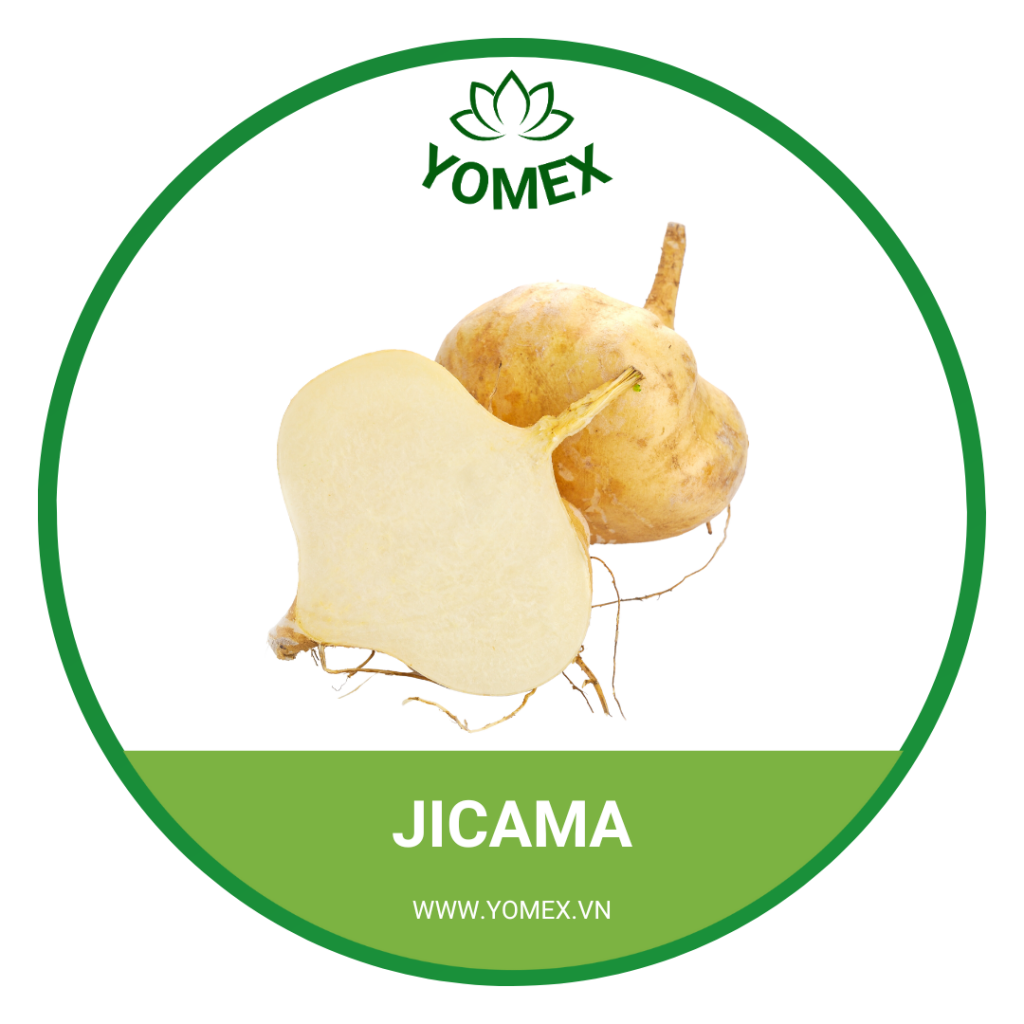 JICAMA - YOMEX